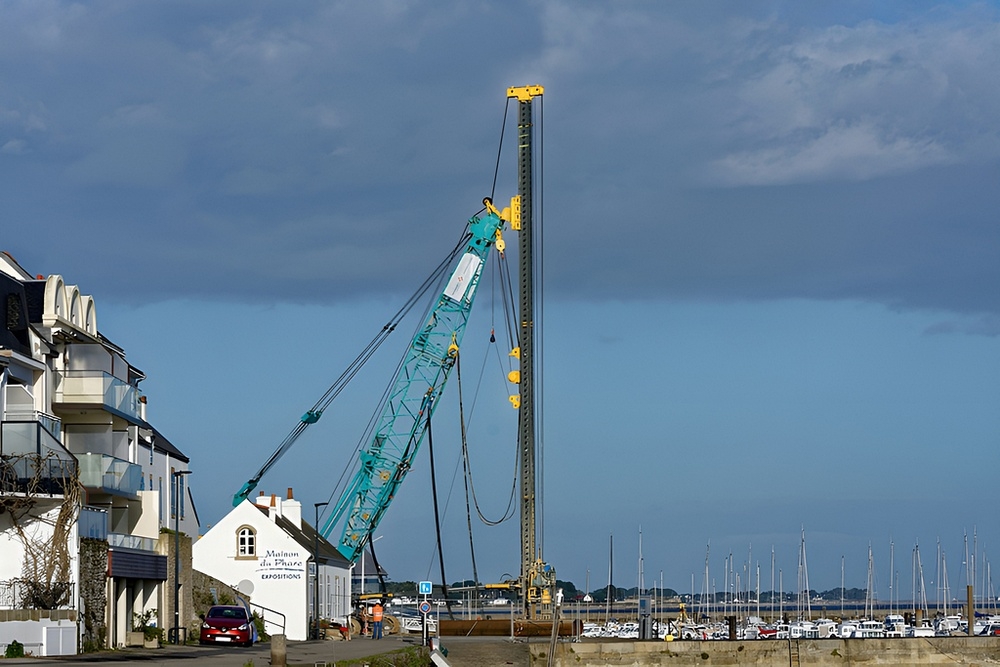 "Rare" grue maison !!! - Inclassable - Forumdephotos.com